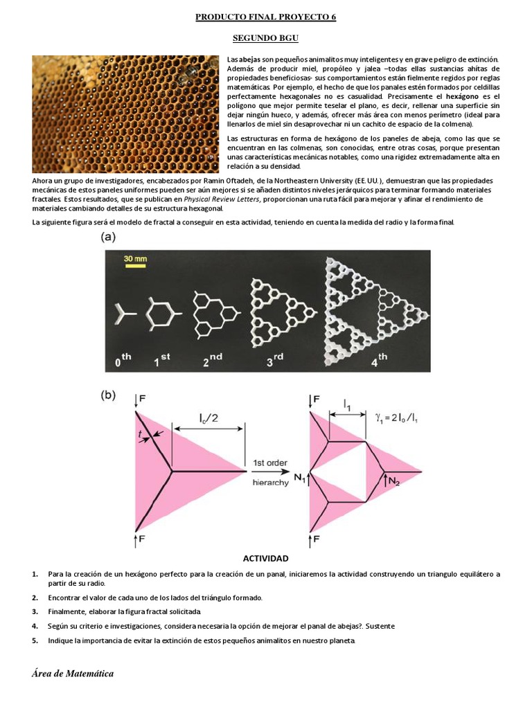 La importancia de la estructura hexagonal de los panales de abejas y su ...