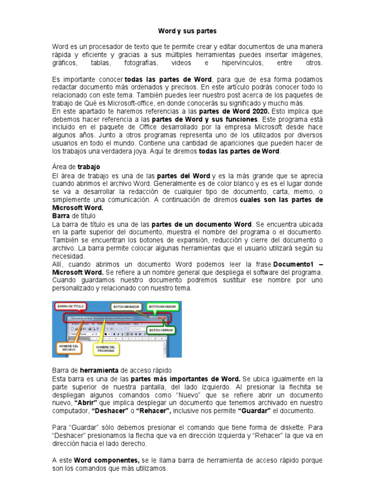 Word y Sus Partes | PDF | Microsoft Word | Archivo de computadora