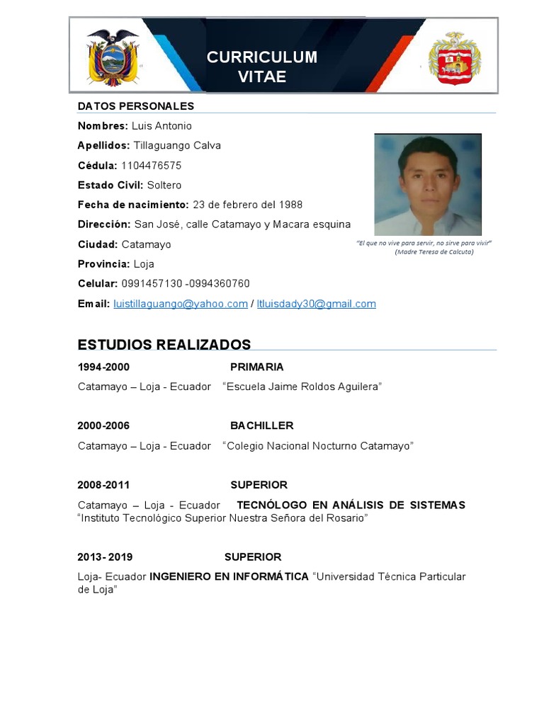 Hoja de Vida Luis | Descargar gratis PDF | Maestros