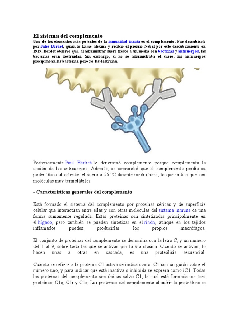 Sistema del Complemento: Funciones y Vías | PDF | Sistema ...