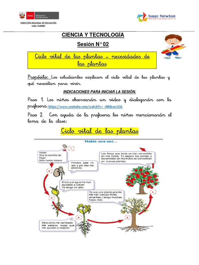 Sesion 1 Ciencia y Tecnologia CICLO VITAL DE LAS PLANTAS NECESIDADES DE ...