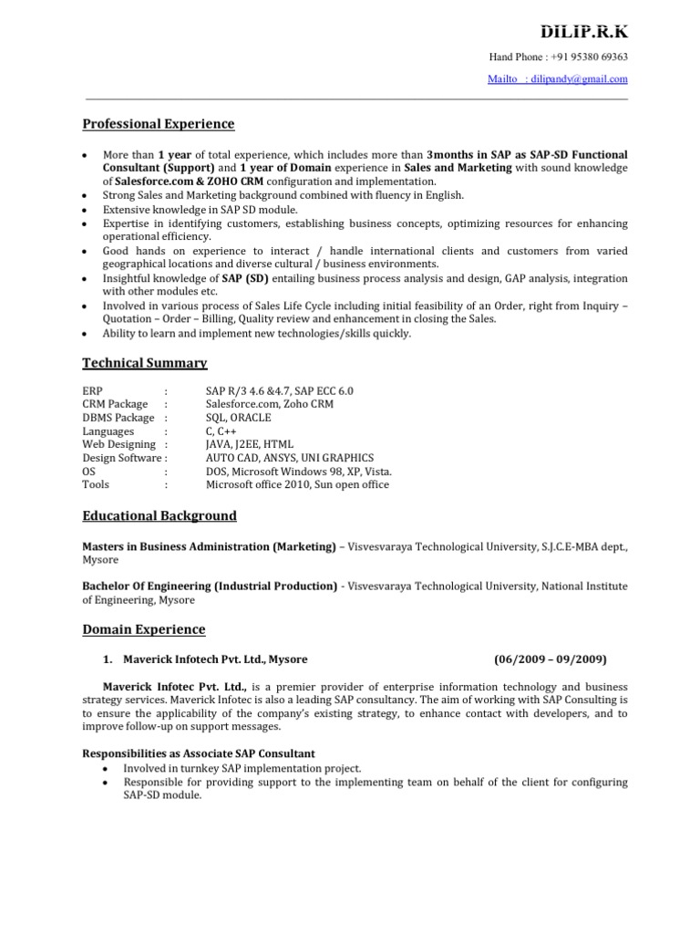 Dilip Exports CV - v1 | PDF