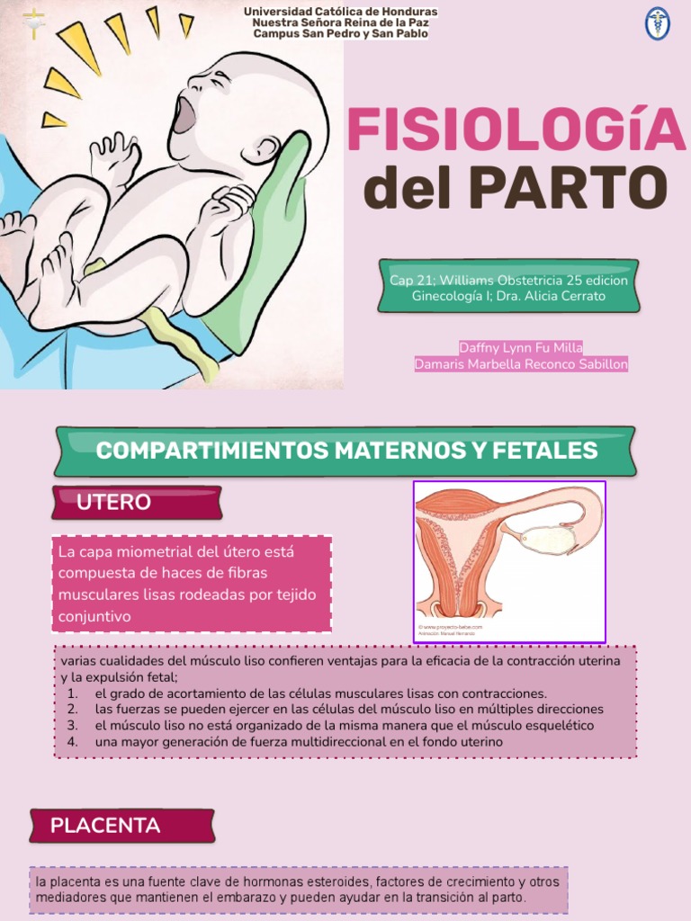 Fisiologia Del Parto | PDF | Parto | Placenta