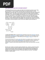 Case Study - Urinary Tract Infection | PDF | Urinary Tract Infection ...