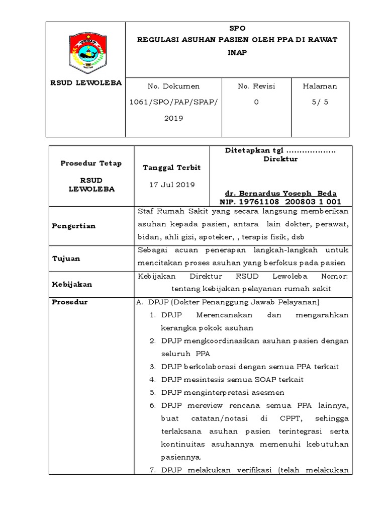 Spo Asuhan Oleh Ppa | PDF