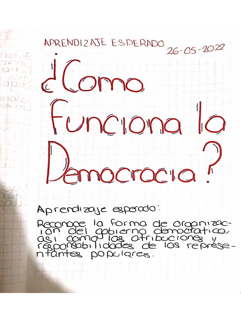 Como Funciona La Democracia. | PDF
