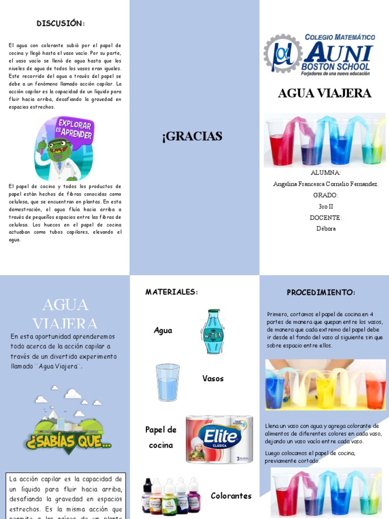 Plantilla de Triptico en Word | PDF | Capilar | Papel