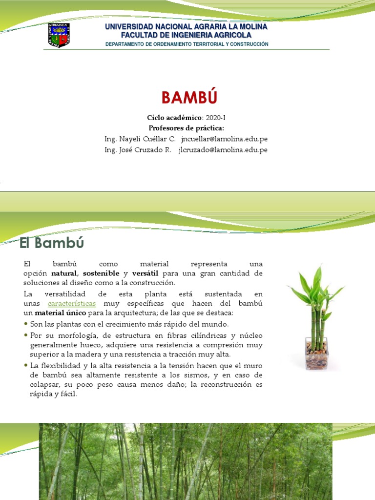 Ensayos Con Bambú | PDF | Hormigón | Agua
