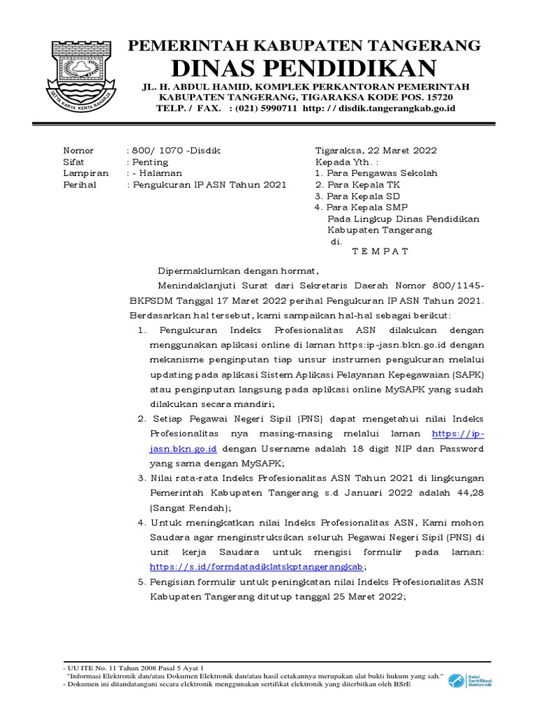 Pengukuran IP ASN Tahun 2021 | PDF