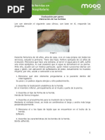 Prueba de Montenegro en Leishmaniasis | PDF | Sistema inmune ...