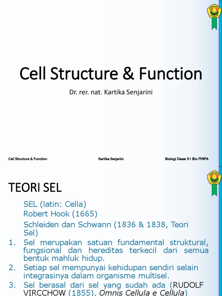 Cell Structure Function | PDF