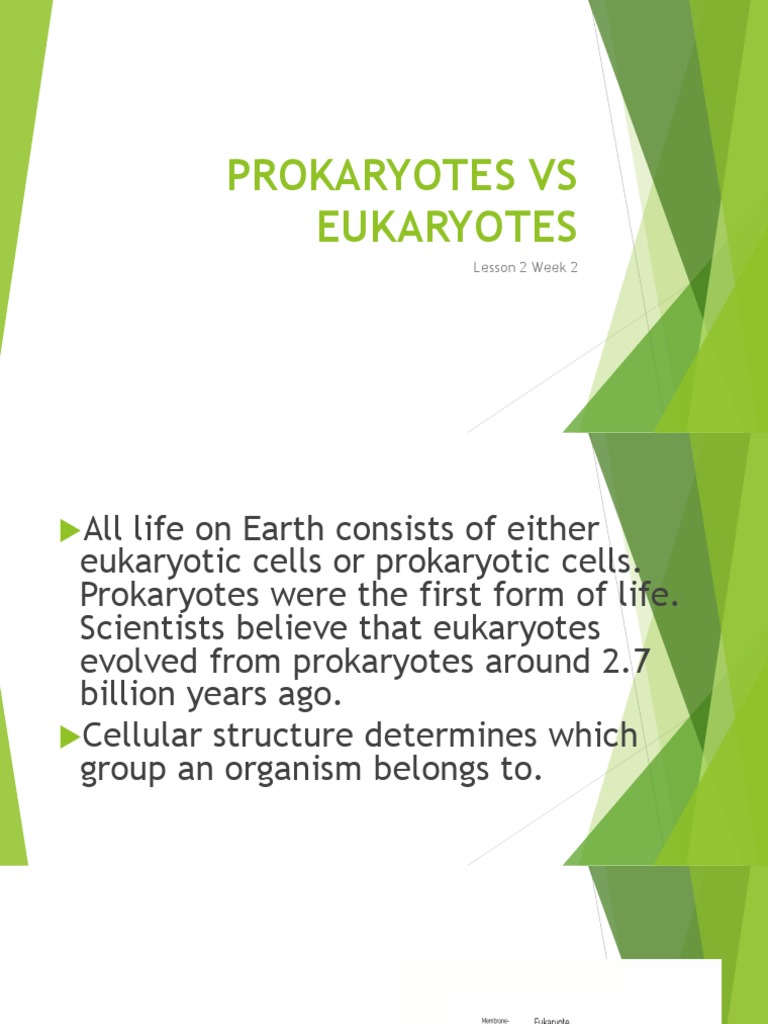 Prokaryotes Vs Eukaryotes Pdf Cell Biology Prokaryote 