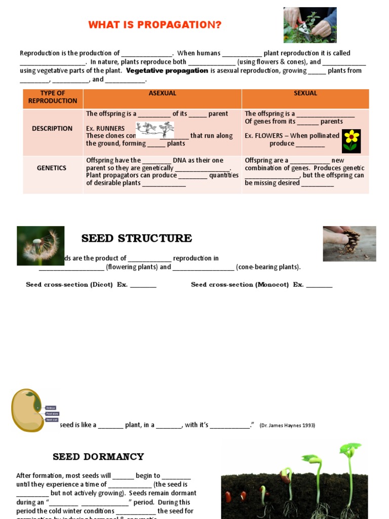 Propagation Powerpoint Student | PDF | Seed | Reproduction