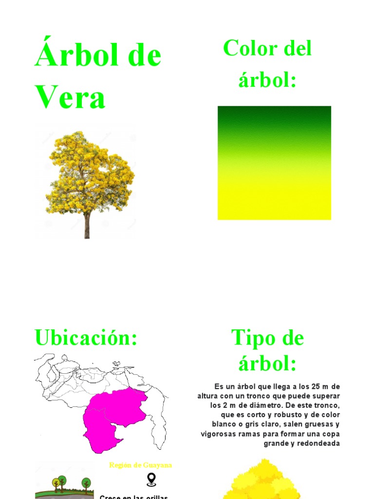 Árbol de Vera | PDF