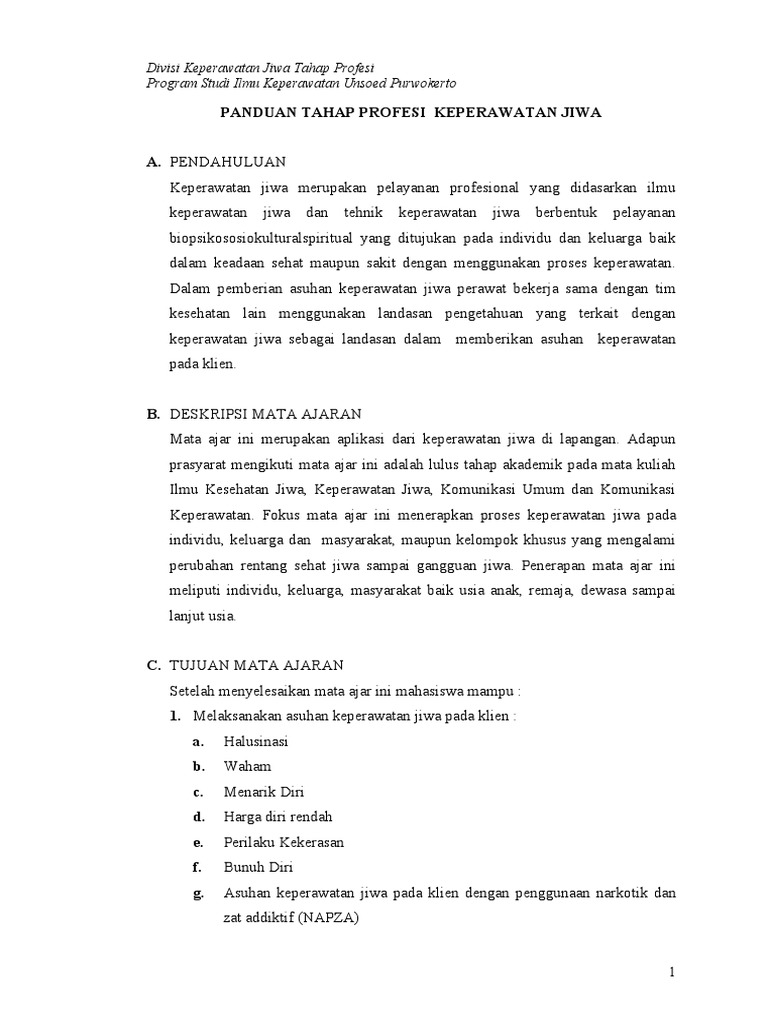 Panduan Tahap Profesi Keperawatan Jiwa0 | PDF