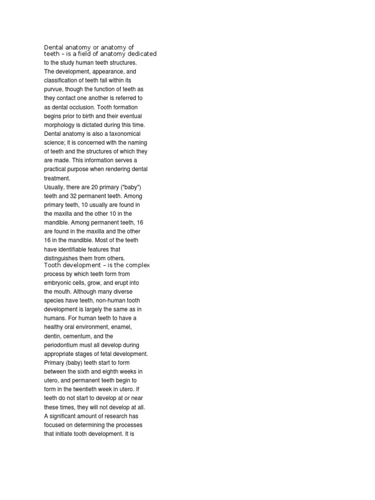 Teeth and Supporting Tissue | PDF | Human Tooth | Tooth Enamel