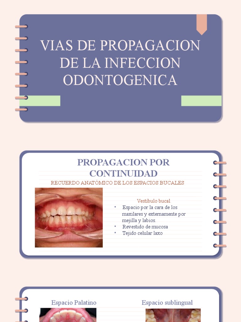 Expo Vias de Propagacion | PDF | Epidemiología | Inmunología