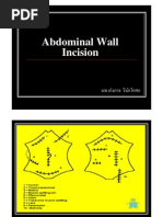 Rutherford Morrison Incision Summary | PDF