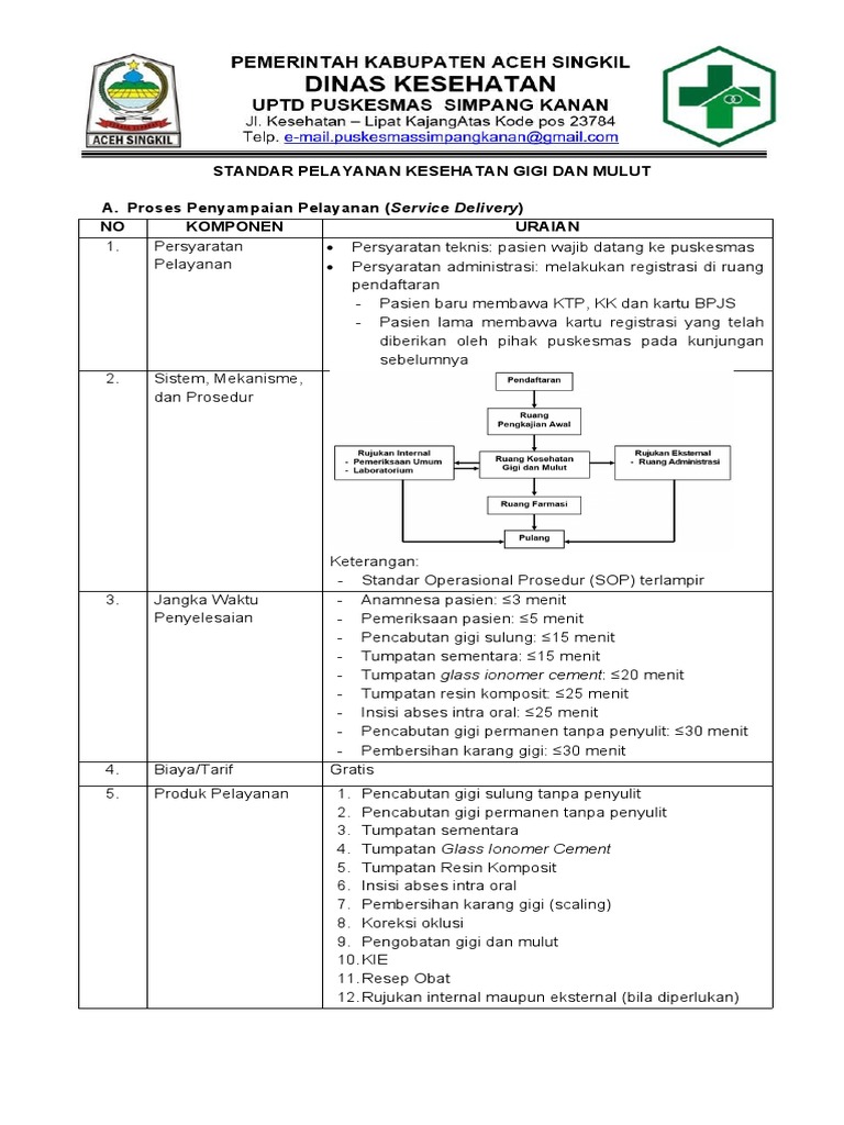 Standar Pelayanan Kesehatan Gigi Dan Mulut | PDF