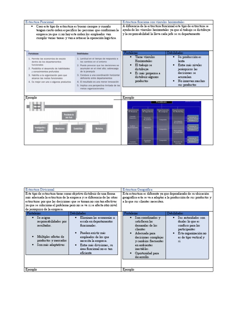 Estructura Funcional | PDF | Business | Economias
