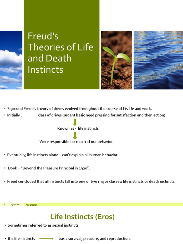 Freud's Theories of Life and Death Instincts | PDF