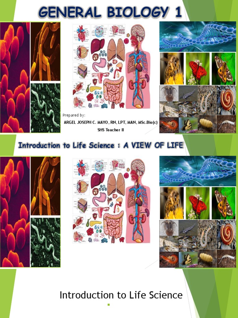 Intro To Biology A View of Life | PDF | Organisms | Bacteria