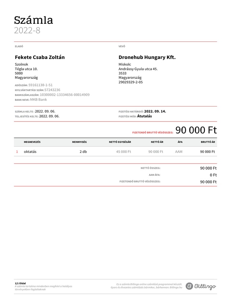 Számla: Fekete Csaba Zoltán Dronehub Hungary KFT | PDF