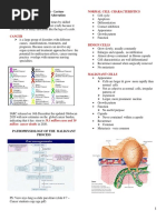IV Fluids: Types and Color Coding | PDF