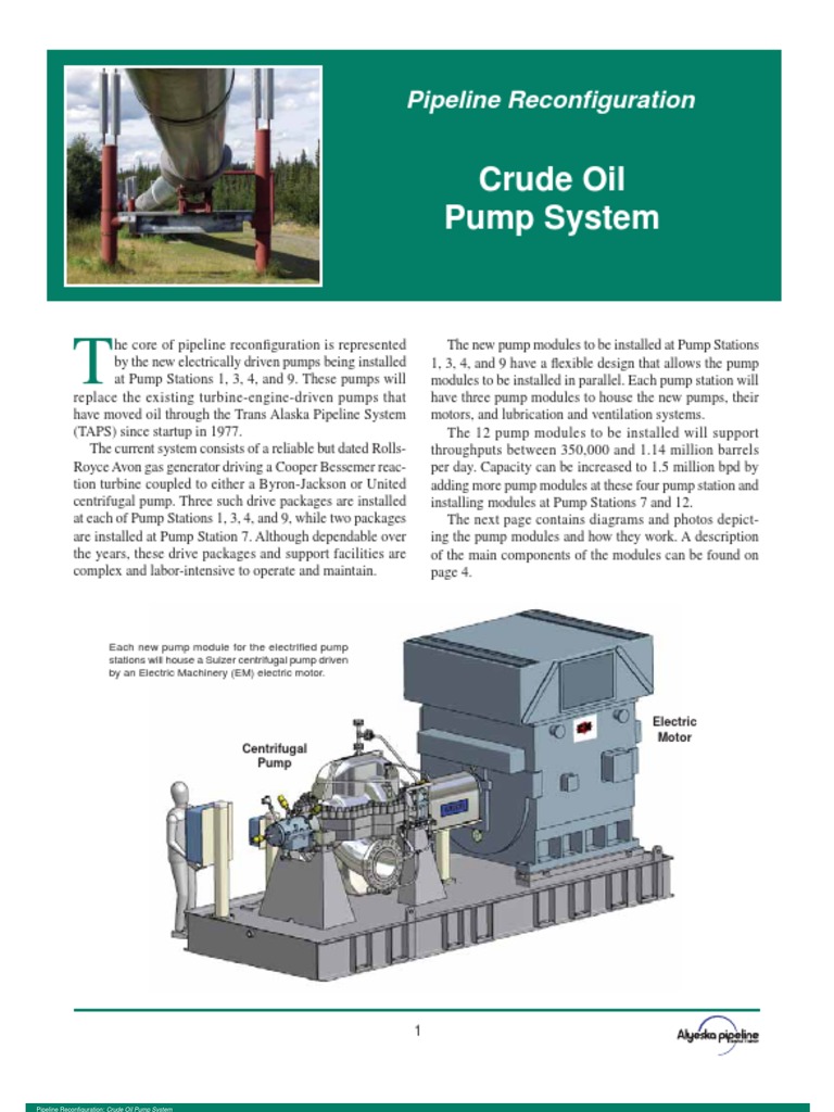 Crude Oil Pump System | PDF | Electric Motor | Pump