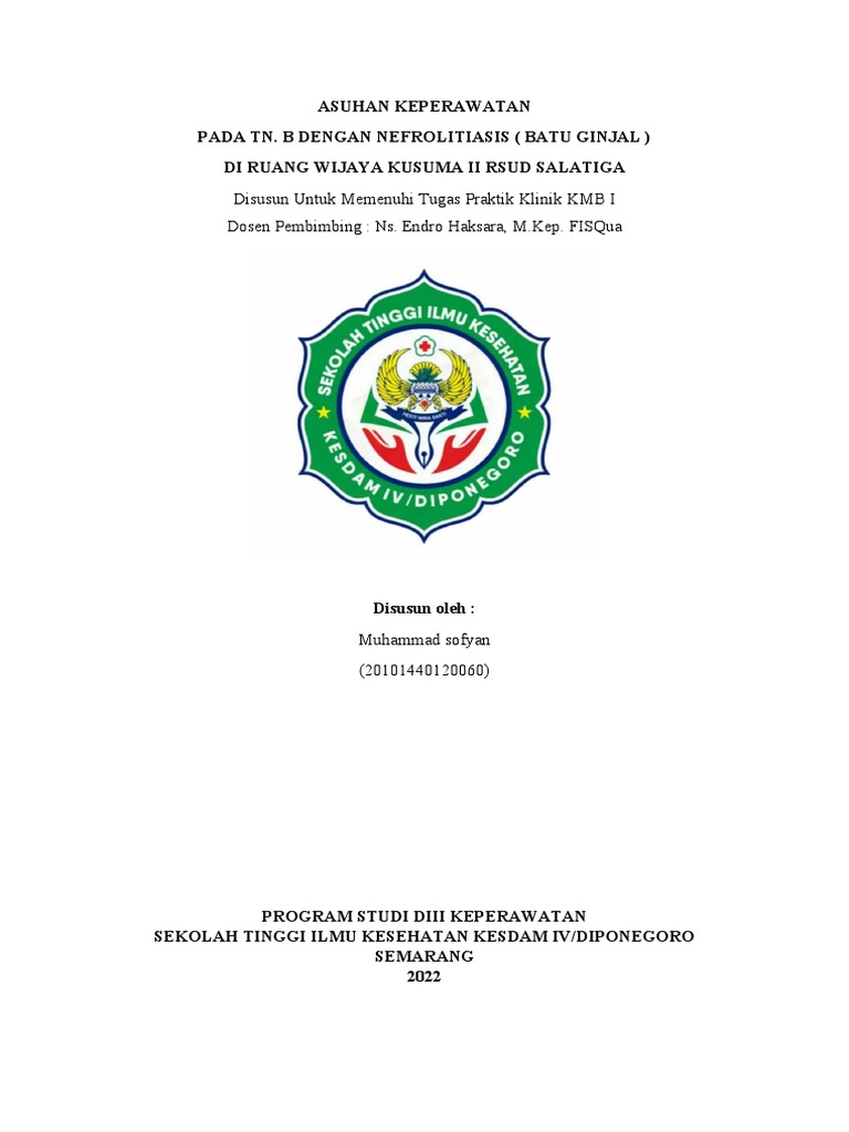 Askep Batu Ginjal Muhammad Sofyan | PDF | Kesehatan Holistik