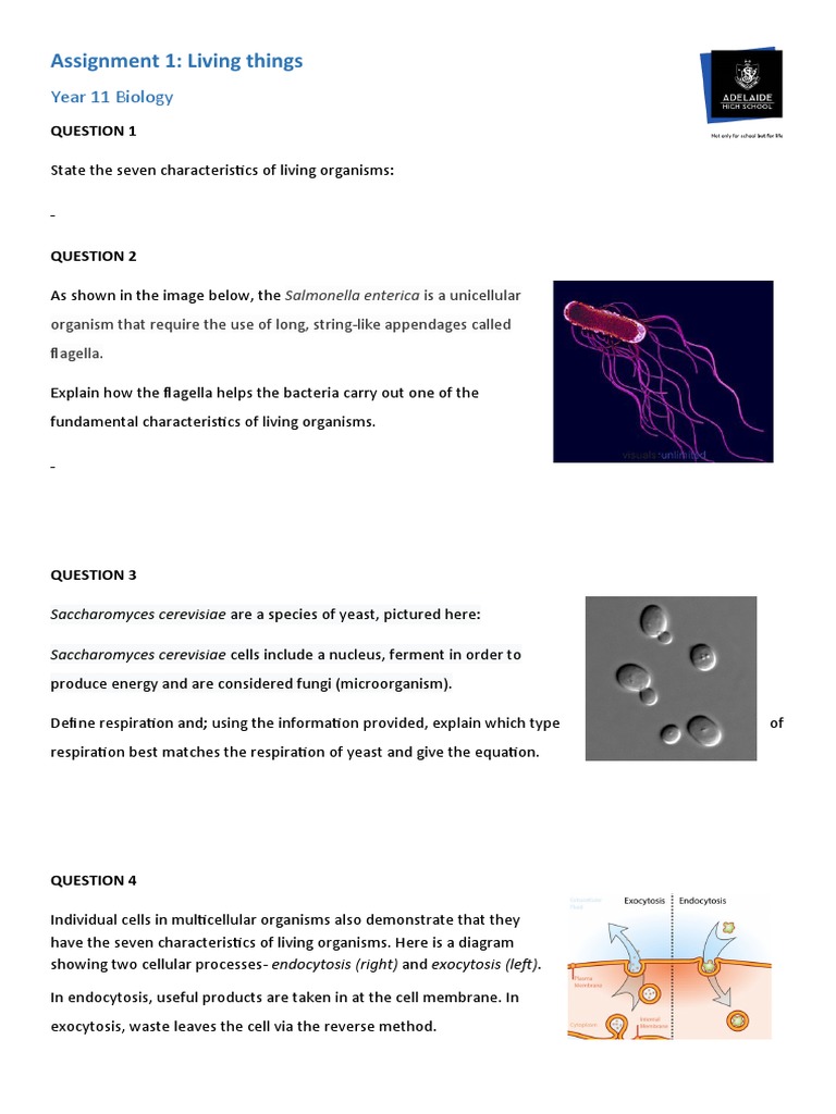1bio assignment 1 living things digital | PDF | Cell (Biology) | Organelle