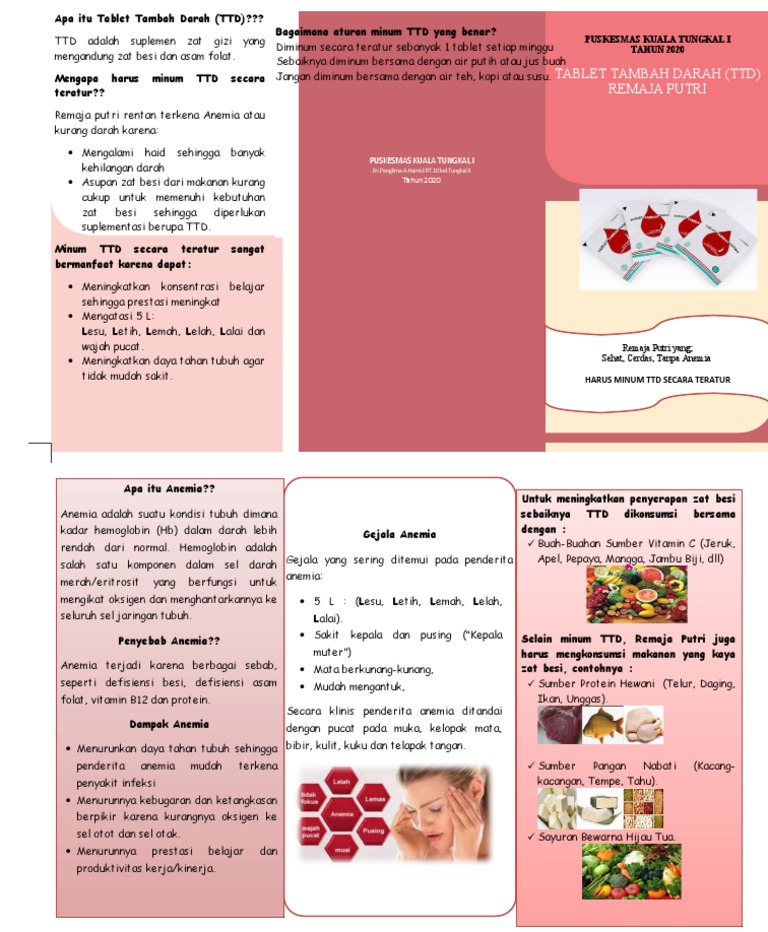 Leaflet TTD Remaja | PDF
