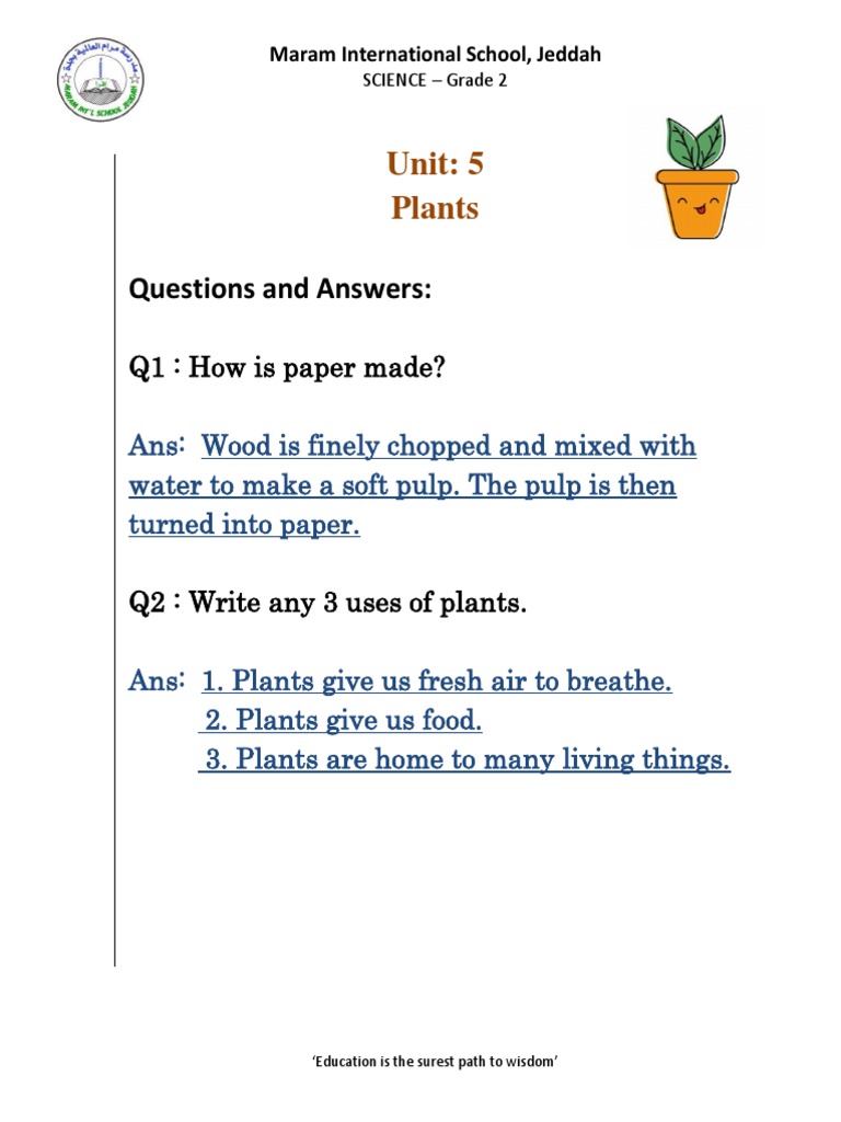 Sci Unit 5 Plants | PDF
