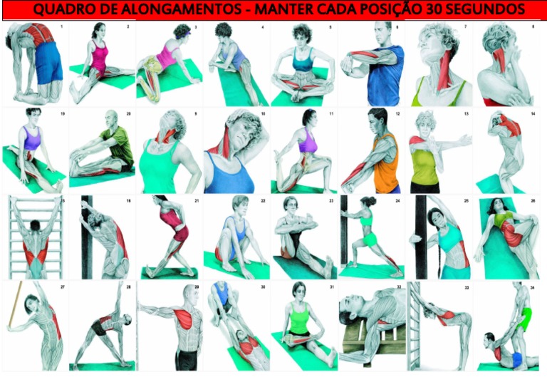 Quadro de Alongamentos | PDF