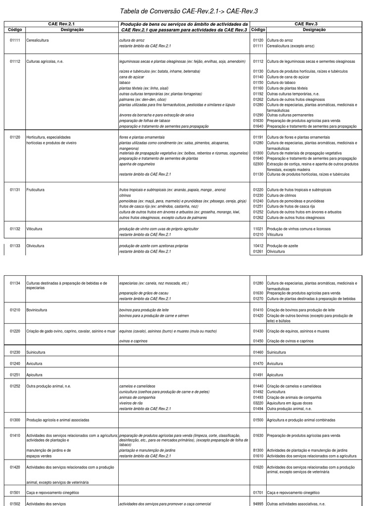Tabela de Conversão CAE-Rev.2.1- CAE-Rev.3