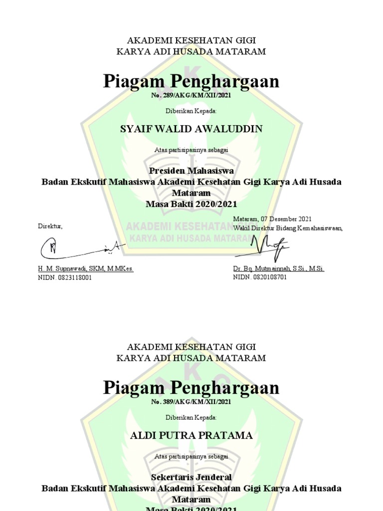 Piagam Penghargaan Untuk BEM 2020-2021 | PDF