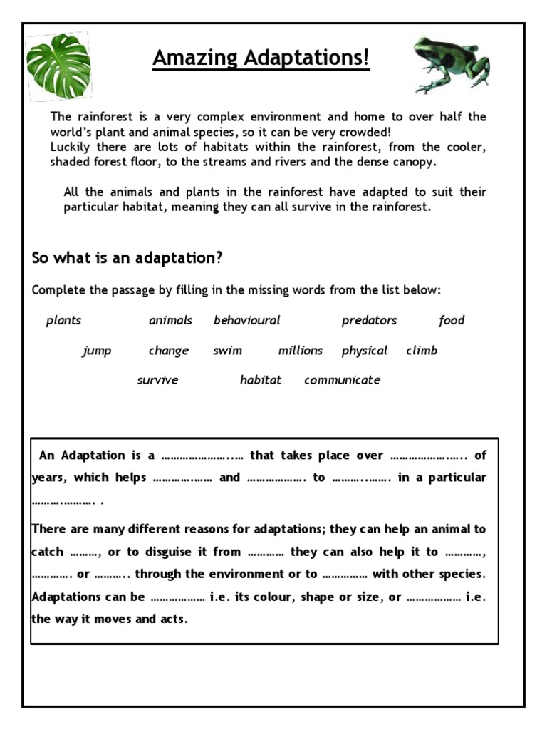 Animals and Plant Adaptations of The Rainforest | PDF | Rainforest ...