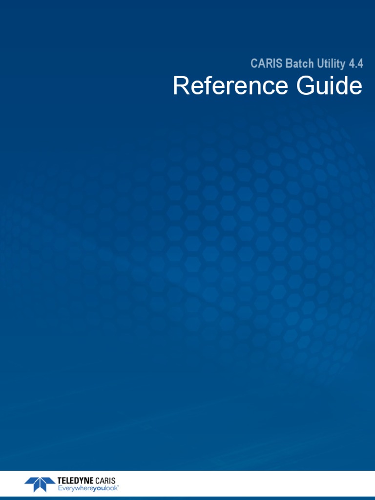 Carisbatch Utility Reference Guide Pdf Command Line Interface Parameter Computer Programming