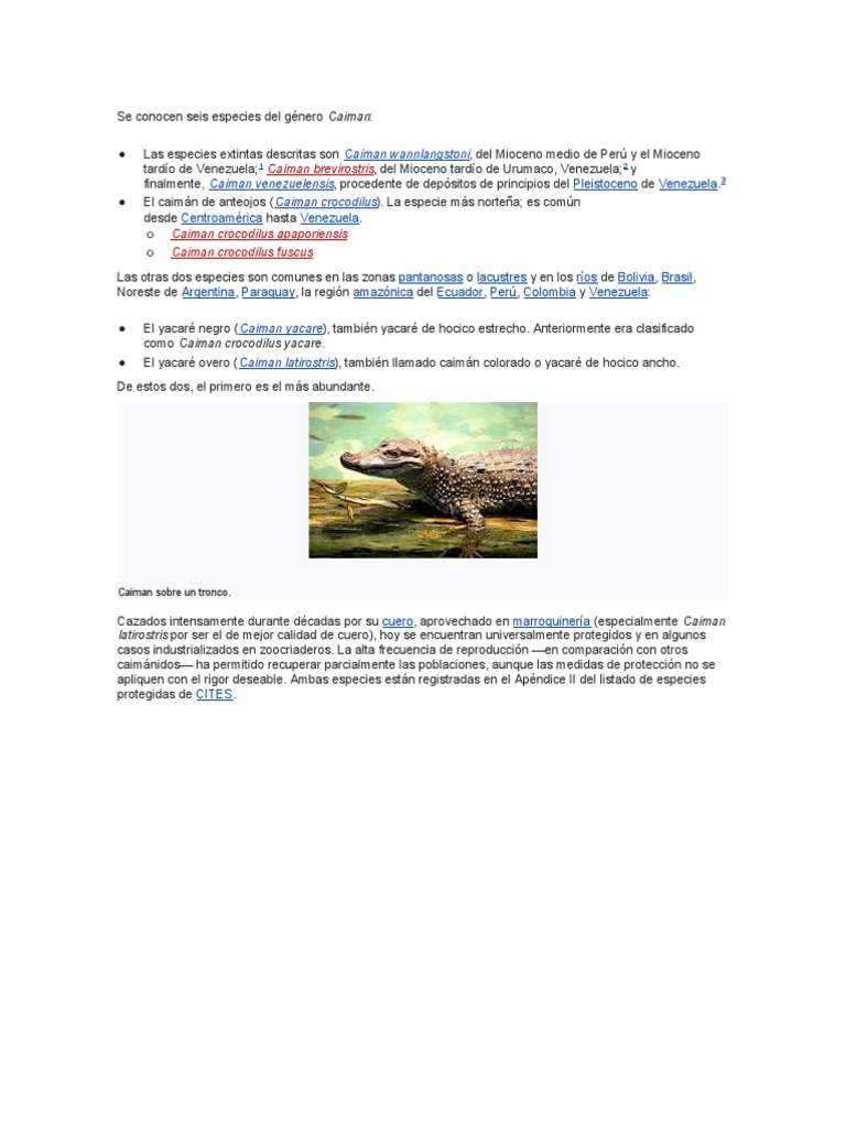 Caiman | PDF