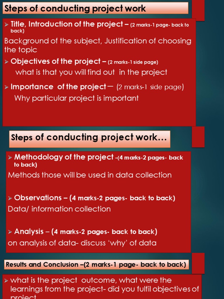 Project Format and Explanation With Example Project | PDF | Data ...