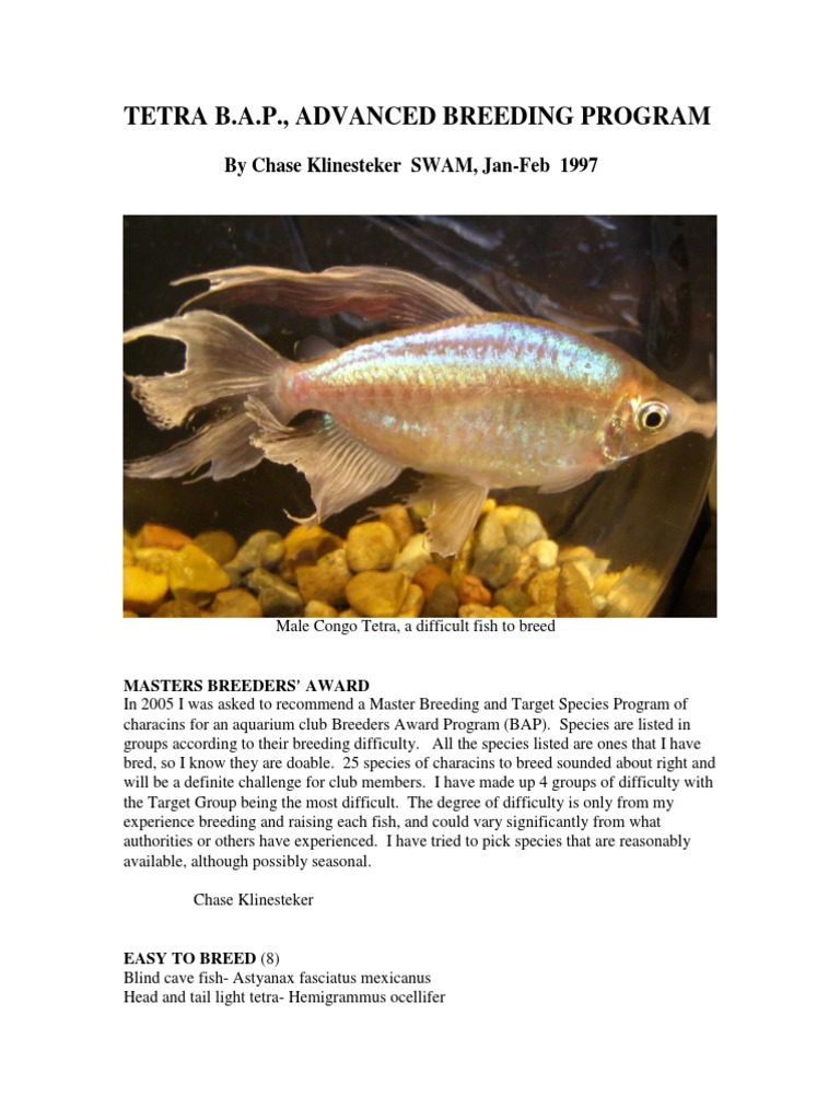 Tetra Advanced Bap Program | PDF