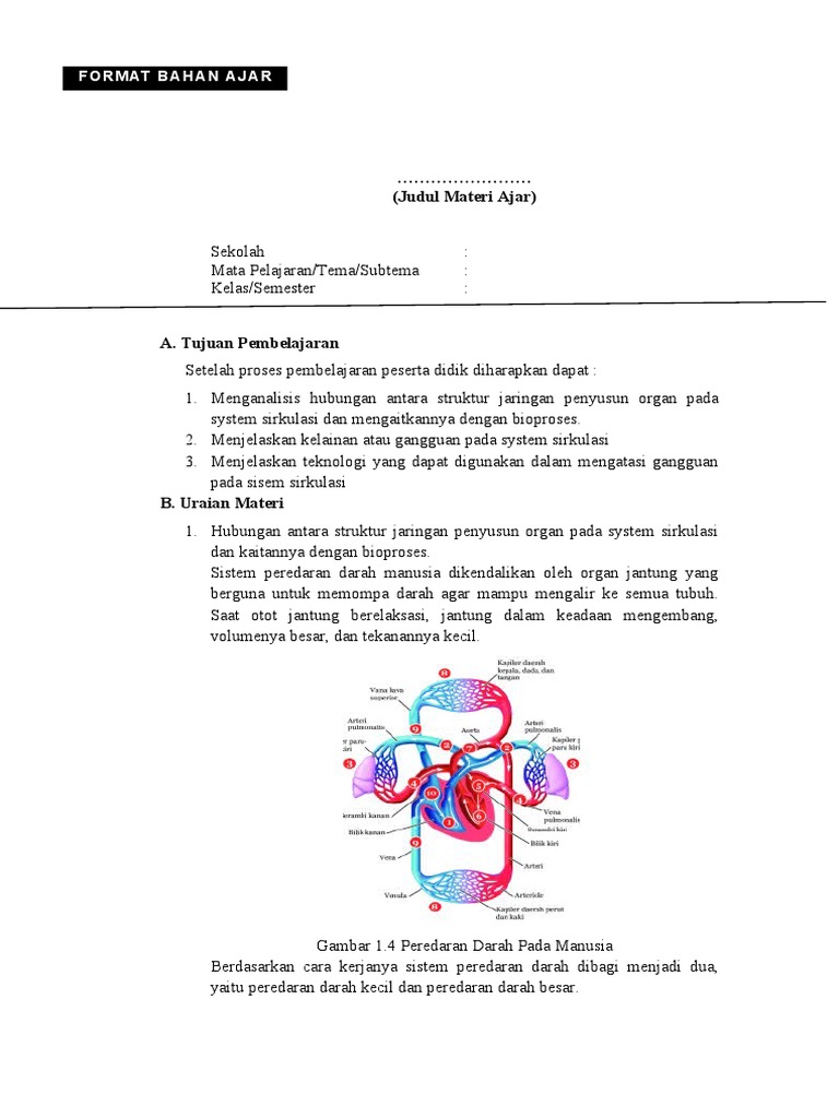 Format Bahan Ajar Pertemuan 2 Pdf Kesehatan Holistik