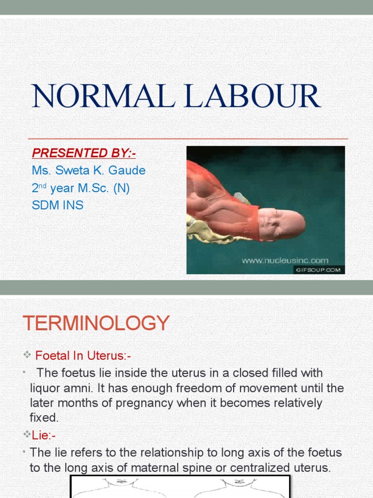 Normal Labour | PDF | Childbirth | Uterus