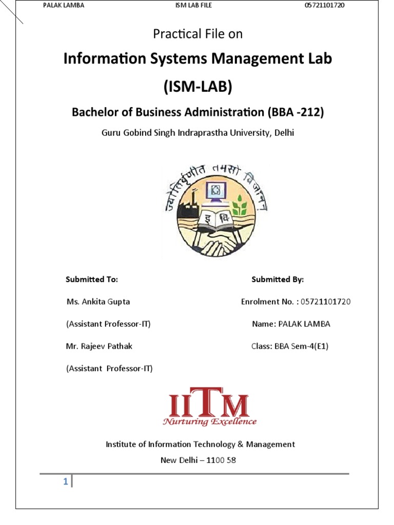 Ism Final Practicals (Palak) | PDF | Databases | Relational Database