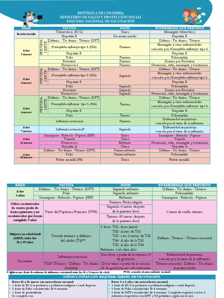 Esquema Nacional De Vacunacion Pdf Vacunas Humanidades Médicas