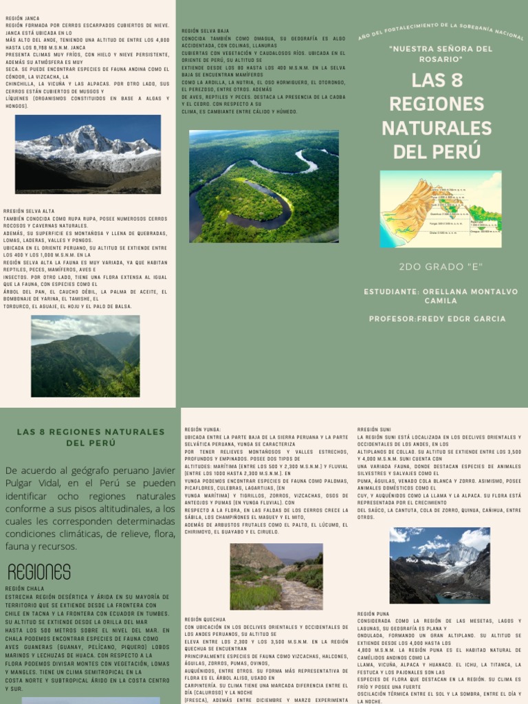 Las 8 Regiones Naturales Del Perú | PDF