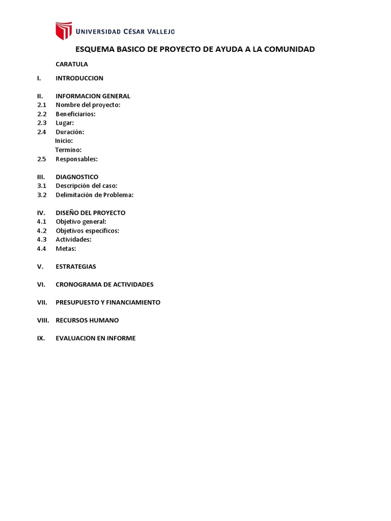 Esquema Basico de Proyecto de Ayuda A La Comunidad | PDF