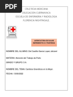Efecto Poseiro | PDF | Placenta | Feto