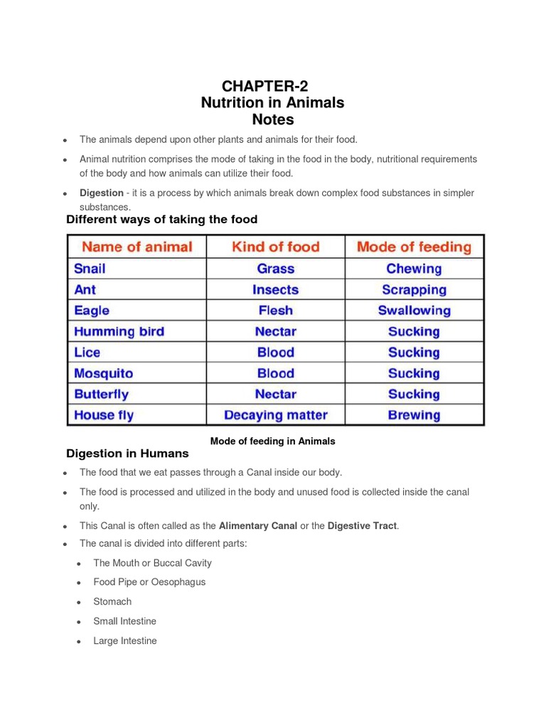 CH-2 (Nutrition in Animals) Notes | PDF | Digestion | Small Intestine