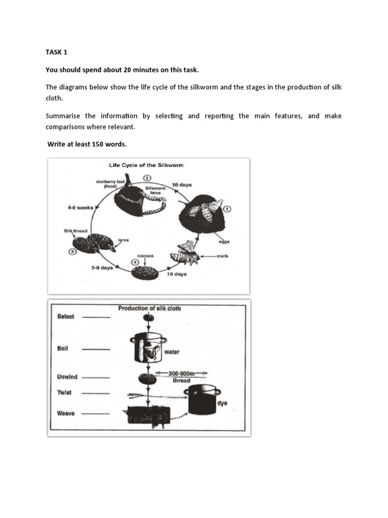 TASK 1 SILKWORM LIFE CYCLE | PDF